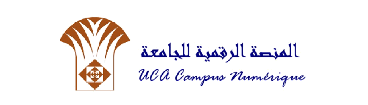 Contacter l'assistance du site